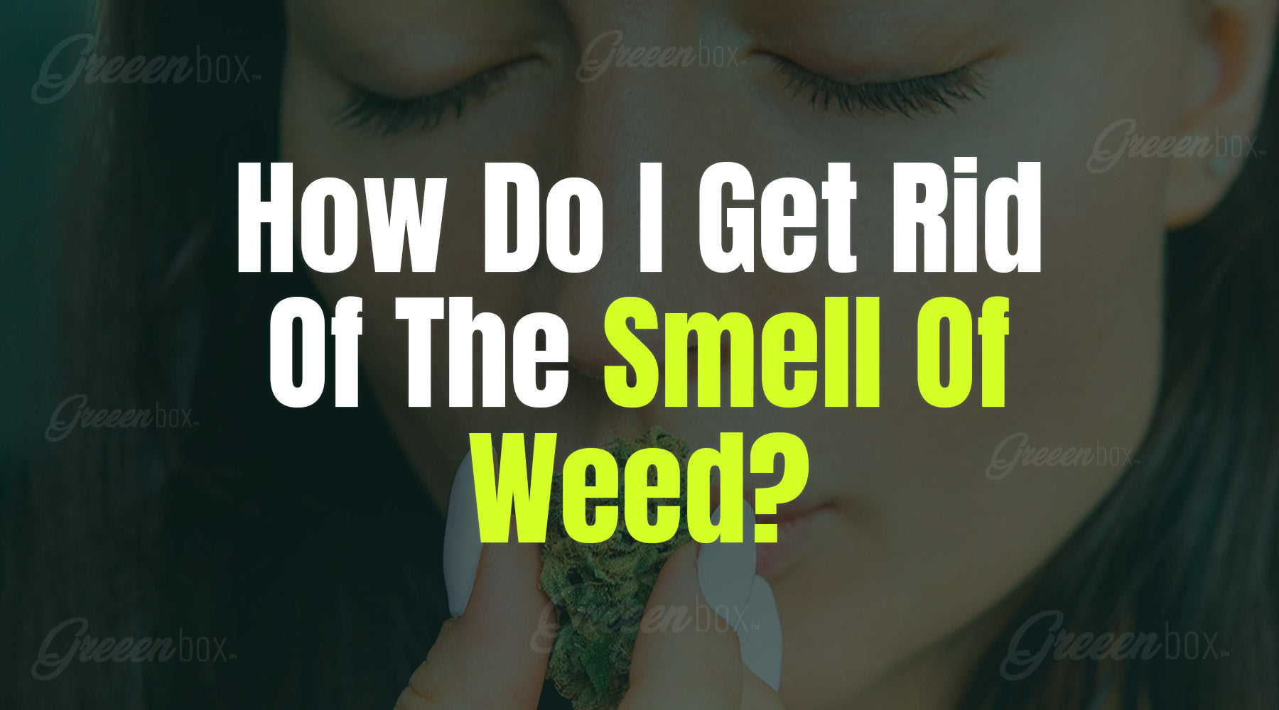 How Do I Get Rid Of The Smell Of Weed? – Greeen Box