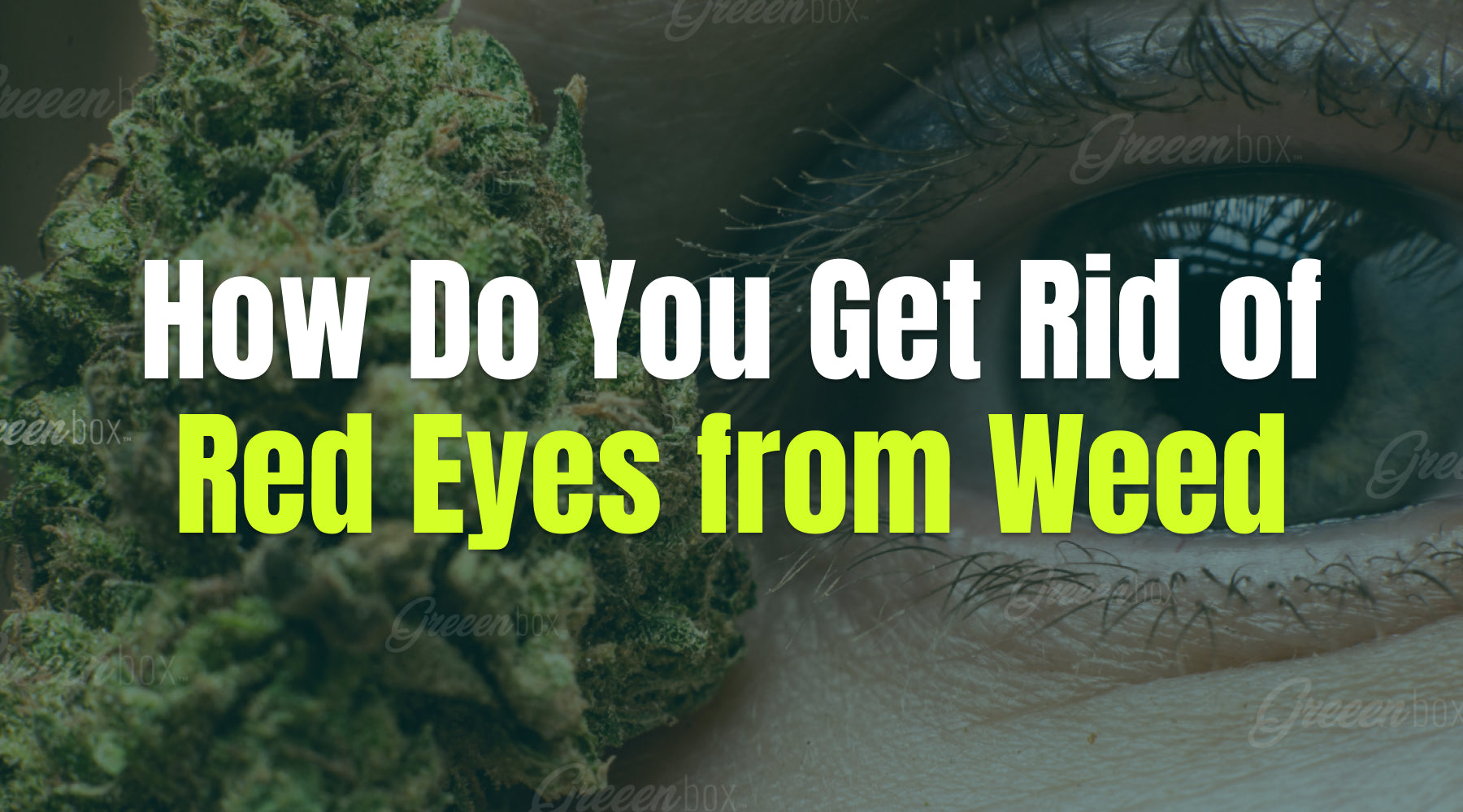 How Do You Get Rid of Red Eyes from Weed? – Greeen Box